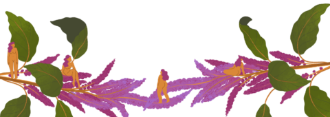 QUIÉNES SOMOS | Amaranta